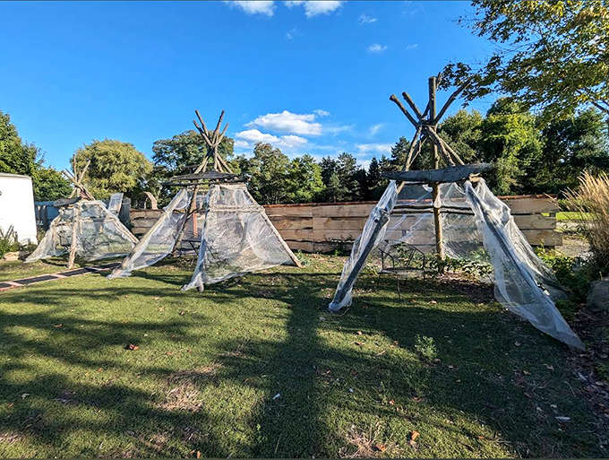 Shipping container dining with modern chairs, because even barbecue joints can have a sense of style these days.