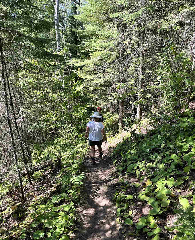 The narrow path winds through Minnesota's northern forest, where every step forward is a step back in time.