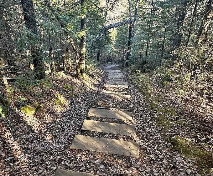 Autumn leaves carpet these steps like nature rolled out the welcome mat. Each one leads closer to that jaw-dropping view.