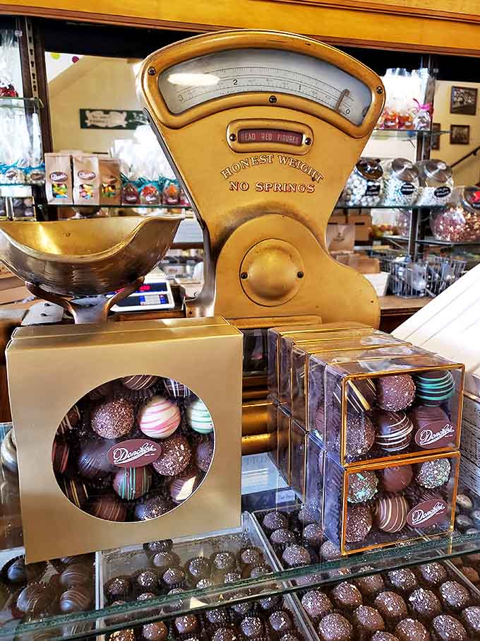 That vintage scale once weighed penny candies and now serves as a reminder that some things are too beautiful to retire.