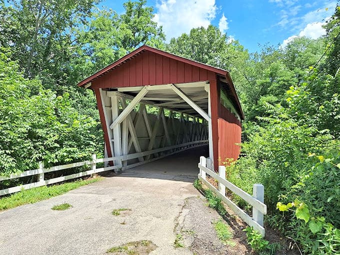 Everett Covered Bridge: Proving that sometimes the scenic route is worth taking, especially when it involves charming red architecture spanning a bubbling creek.