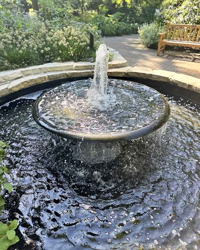 The fragrance garden fountain provides a sensory experience that combines the sound of flowing water with aromatic plantings surrounding it.