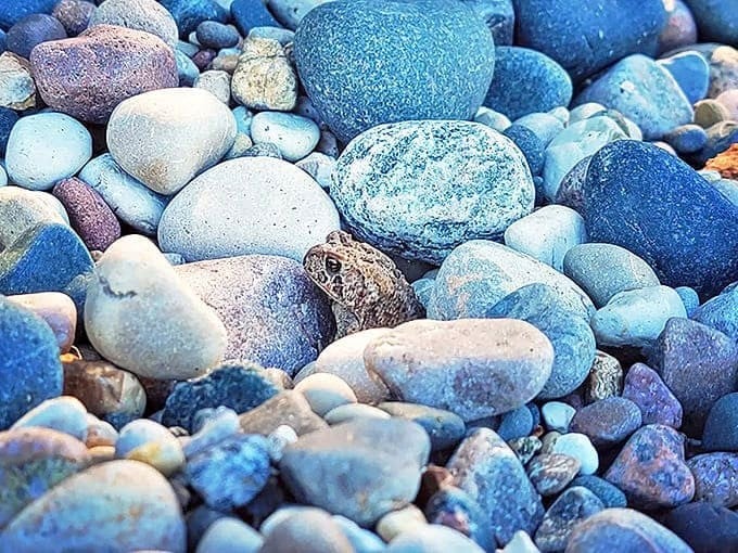 A kaleidoscope of blues and grays &ndash; Lake Huron's famous stones showcase nature's artistic palette in a constantly changing shoreline gallery.