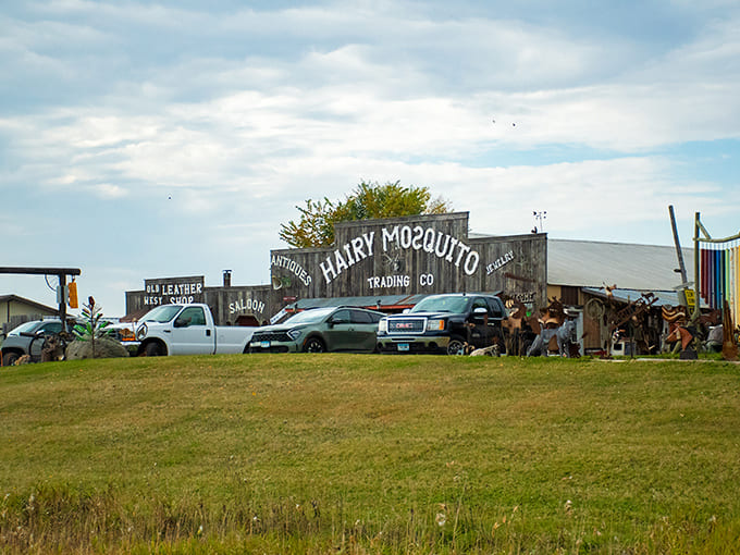 The property's expansive grounds give the collection room to breathe under Minnesota's big skies.