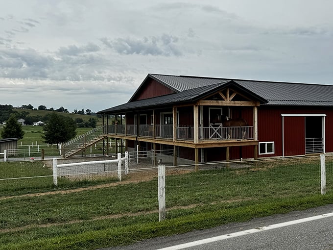 Hershberger's Farm stands as a red-barn testament to rural life, where animals graze and homemade treats await.