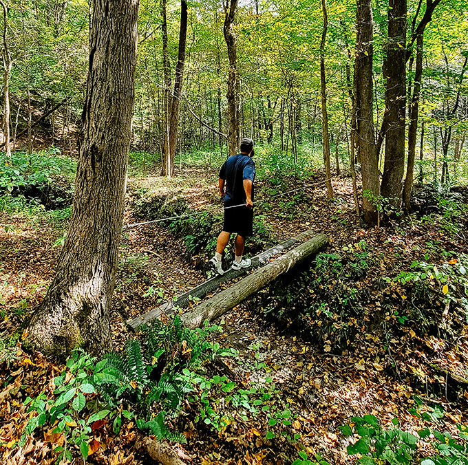 A solitary hiker navigates a rustic log bridge – the original "social distancing" activity long before it was trending.
