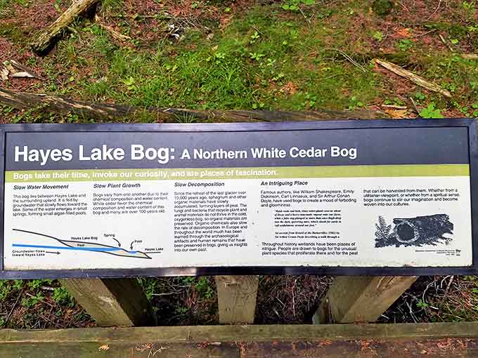 13. information board