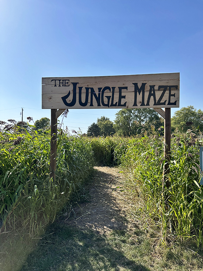 "The Jungle Maze" entrance beckons adventurers of all ages to test their navigation skills among towering grasses.