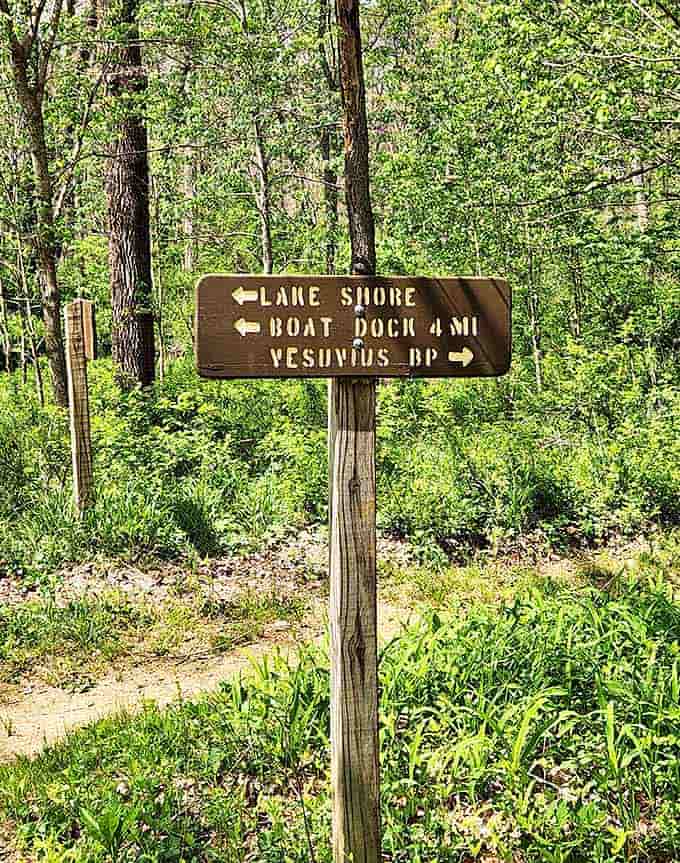 Trail signs: where "4 miles" can feel like an encouraging promise or a cruel joke, depending entirely on your blister situation.