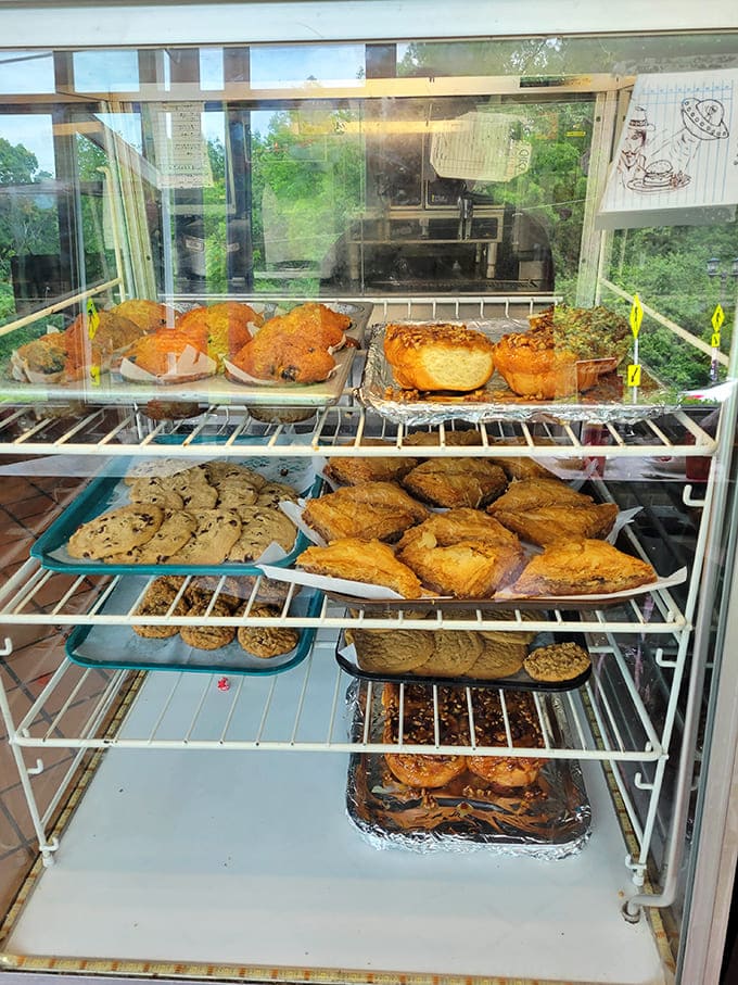 The display case &ndash; a glass-fronted temple of temptation where willpower goes to die and "I'll just have coffee" turns into "and a slice of that."