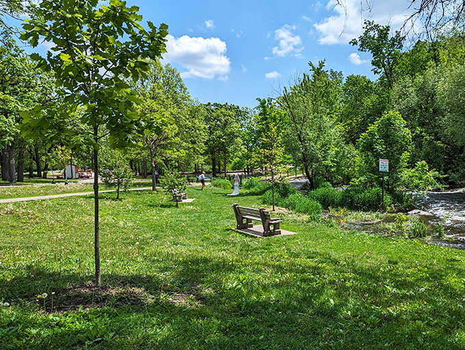 Find a moment of peace on a sunny park bench overlooking the grassy banks and the gently flowing river nearby.