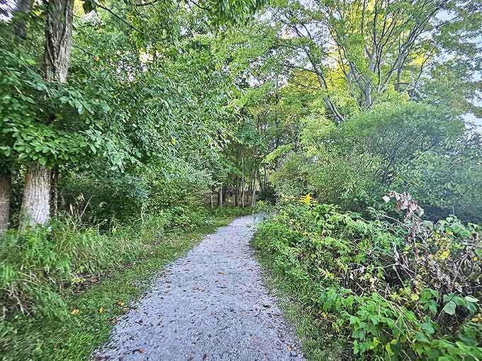 A grassy trail cuts through prairie grasses, leading adventurers deeper into the park's varied ecosystems and breathtaking vistas.