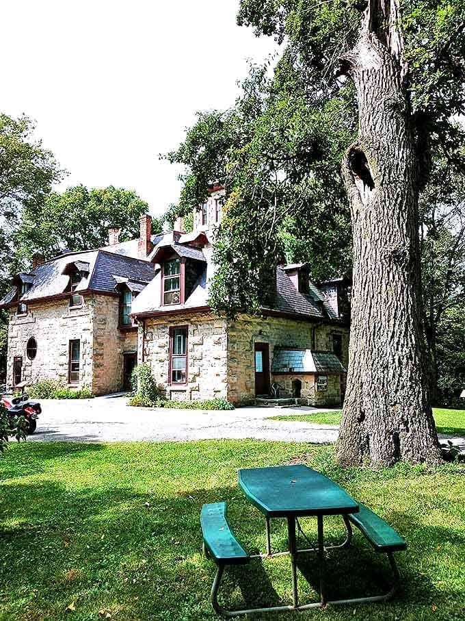The castle grounds offer peaceful spots to relax and soak in the atmosphere &ndash; this picnic table invites visitors to linger under the shade of ancient trees.