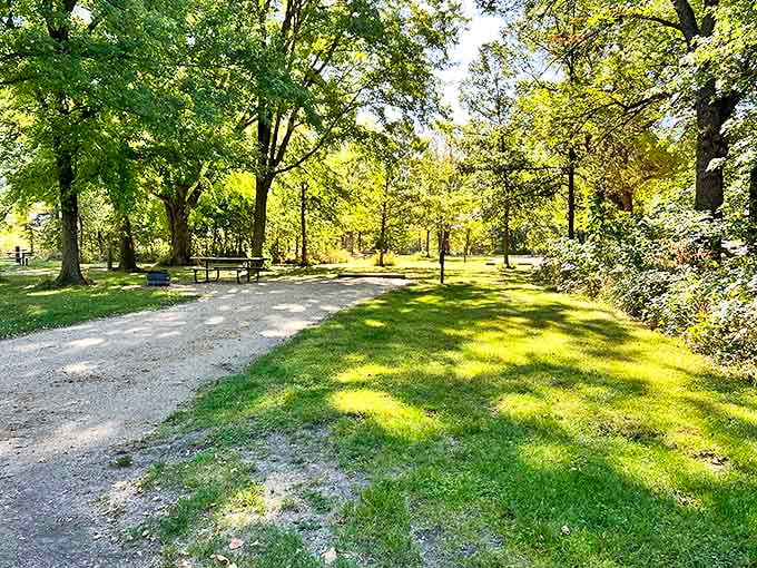 Sand volleyball courts await summer competitors, where friendly matches unfold against a backdrop of whispering pines.