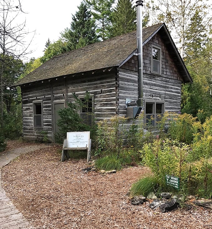 This rustic log cabin whispers stories of simpler times, standing as a testament to the area's rich human history.