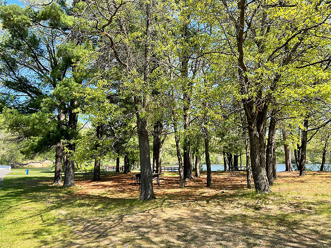 Pine-lined paths offer cool shade in summer months, with soft needles cushioning your steps toward the falls.