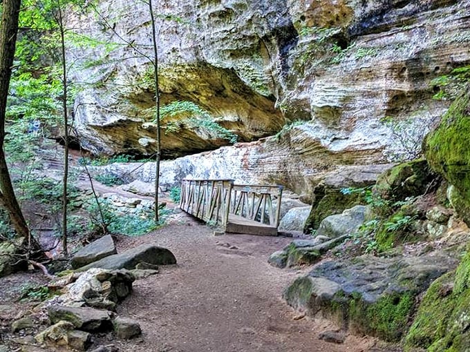Rock House area features dramatic stone formations where visitors can channel their inner explorer among prehistoric-feeling landscapes.