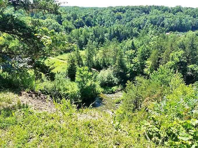 This breathtaking valley view is your reward for conquering your fears &ndash; Mother Nature's way of saying "well done, brave human."