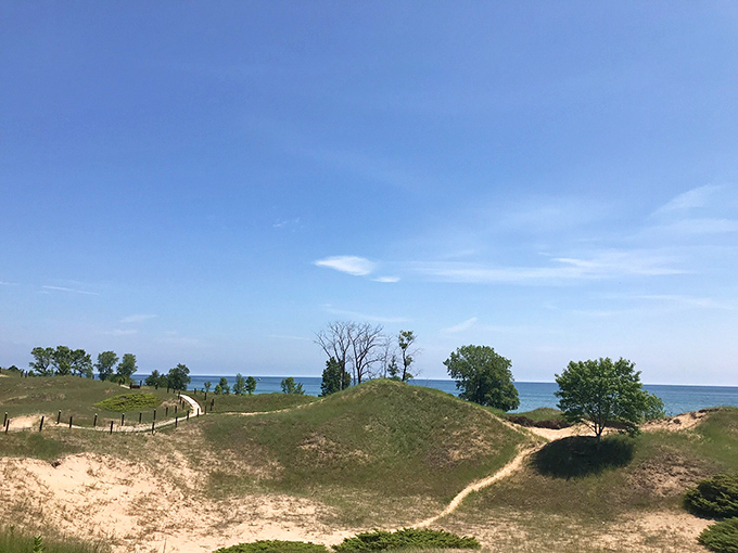 Morning light bathes the dunes in golden warmth, turning an ordinary hike into a walk through magic.