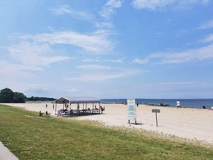 Seashore Area: Beach shelters stand ready for picnickers seeking shade, while the vast shoreline beckons those craving sunshine and waves.