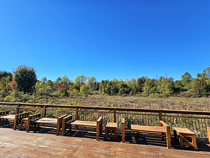 This viewing deck offers front-row seats to nature's greatest show, no ticket required except your own sense of wonder.