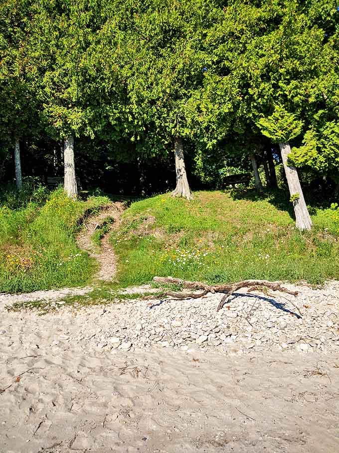 A hidden path beckons adventurous souls to discover what lies beyond the beach &ndash; nature's own "Choose Your Own Adventure."