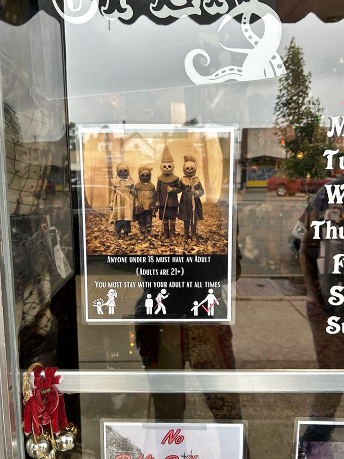 The storefront window display gives passersby a preview of the wonderfully weird world waiting inside, complete with taxidermy and theatrical flair.