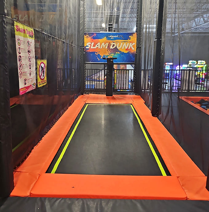 The slam dunk zone: where average-height humans can briefly experience the glory of professional basketball stardom.