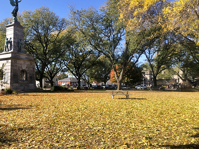 Fall perfection carpets the ground at Princeton's town square, nature's way of showing off before winter arrives.