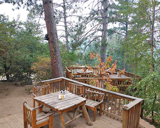 Dappled sunlight plays across wooden deck tables, creating the perfect outdoor dining experience among towering Minnesota pines.
