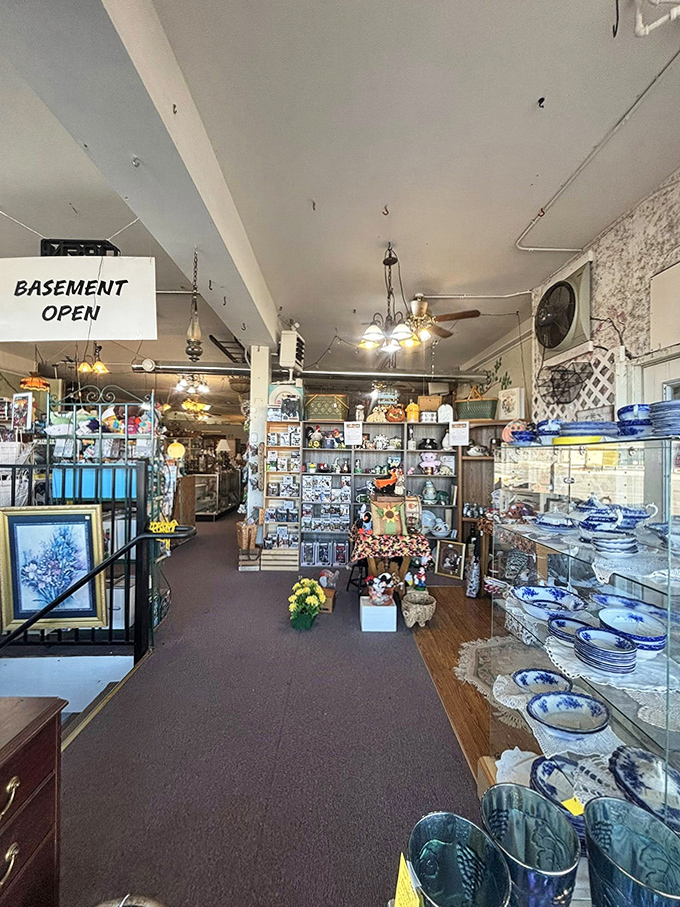 "Basement Open" promises even more treasures below &ndash; aisles of carefully arranged collectibles creating a museum where everything's for sale.