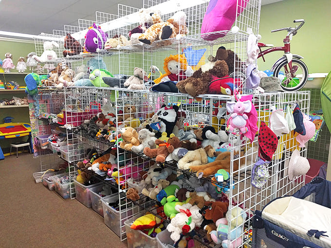 Stuffed animals galore! These pre-loved plushies have PhD-level experience in providing comfort and are ready for their next cuddle assignment.