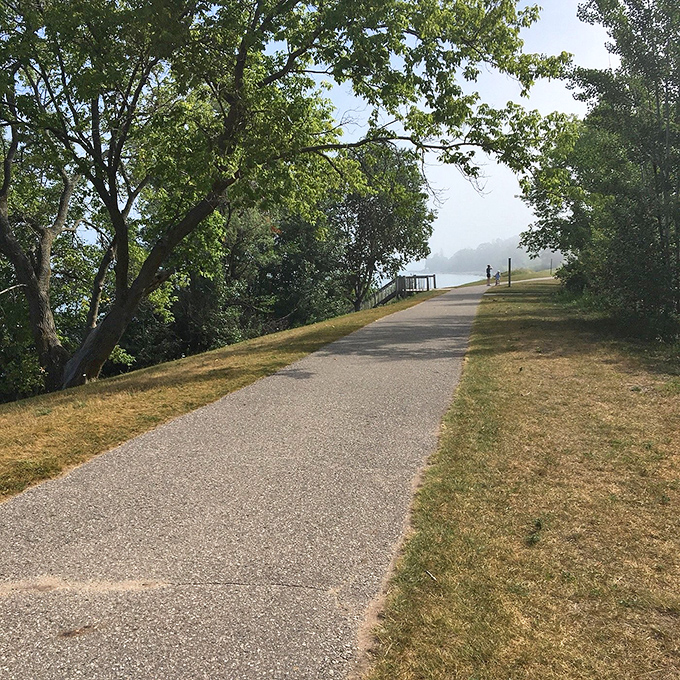 Trees stand sentinel along this lakeside stretch, their branches framing views that no Instagram filter could possibly improve.
