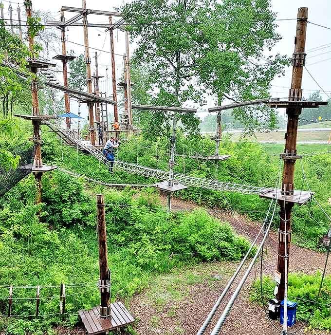 The aerial obstacle course weaves through the trees, creating a three-dimensional playground for adventurers of all ages.