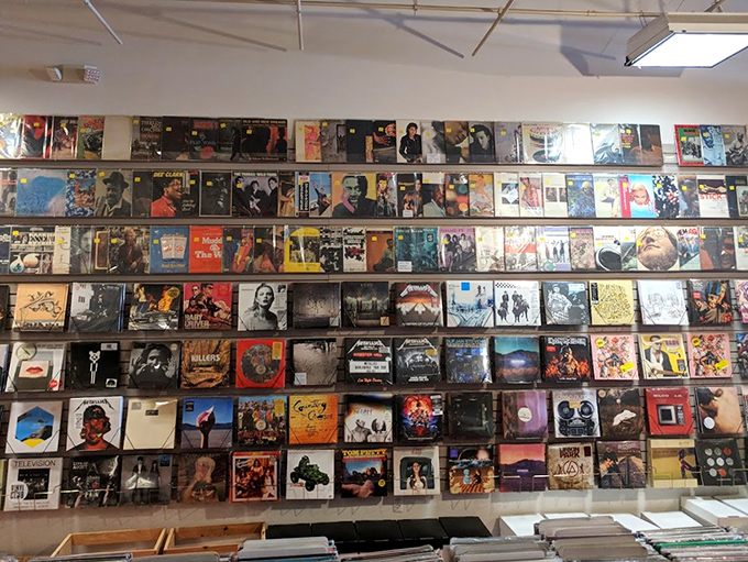 Vinyl Record Wall Display: The wall of sound &ndash; a visual symphony of album covers spanning decades of musical genius, from classic rock to modern masterpieces.