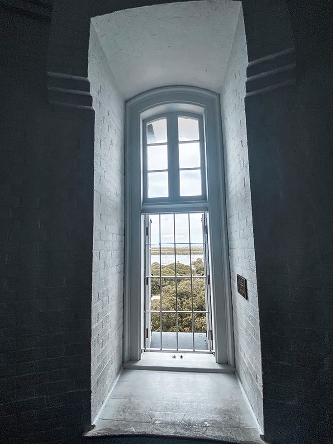 Framed by the lighthouse window, the view stretches across St. Augustine's lush landscape to the water beyond. History with a view!