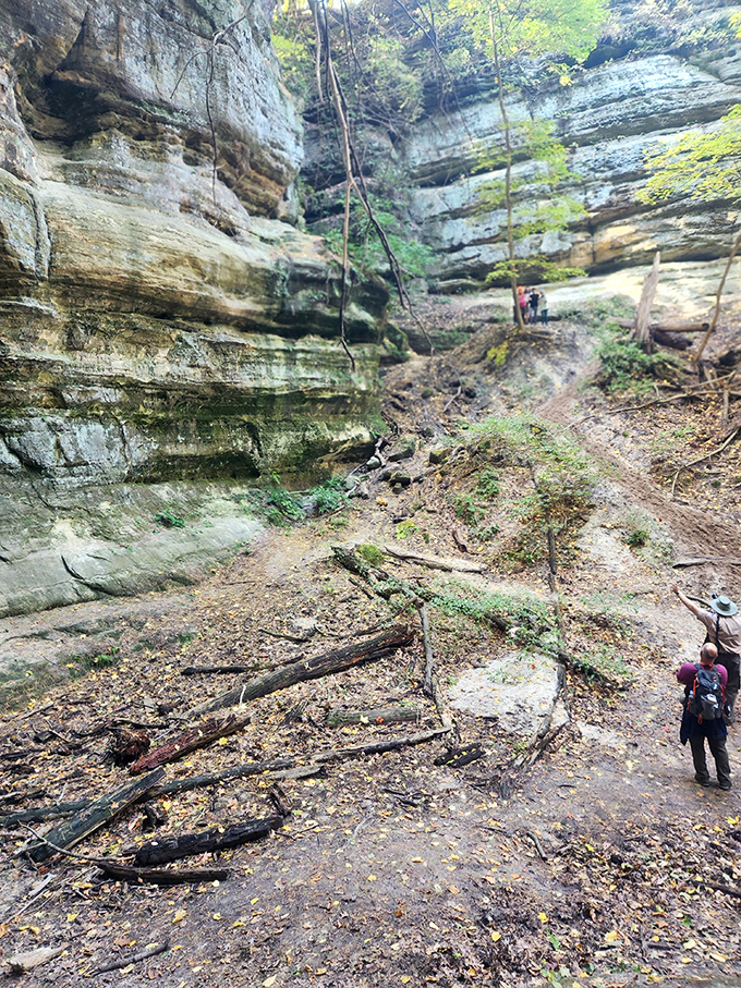 Canyon walls rise like nature's skyscrapers, layered with geological history books waiting to be read by curious eyes.