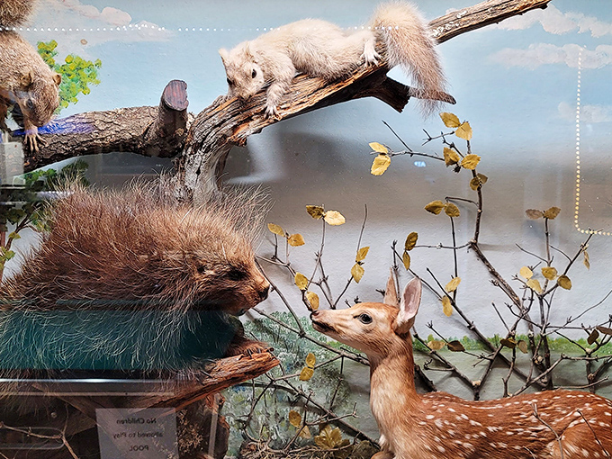 This charming diorama shows the delicate interaction between woodland creatures, crafted with remarkable attention to detail.
