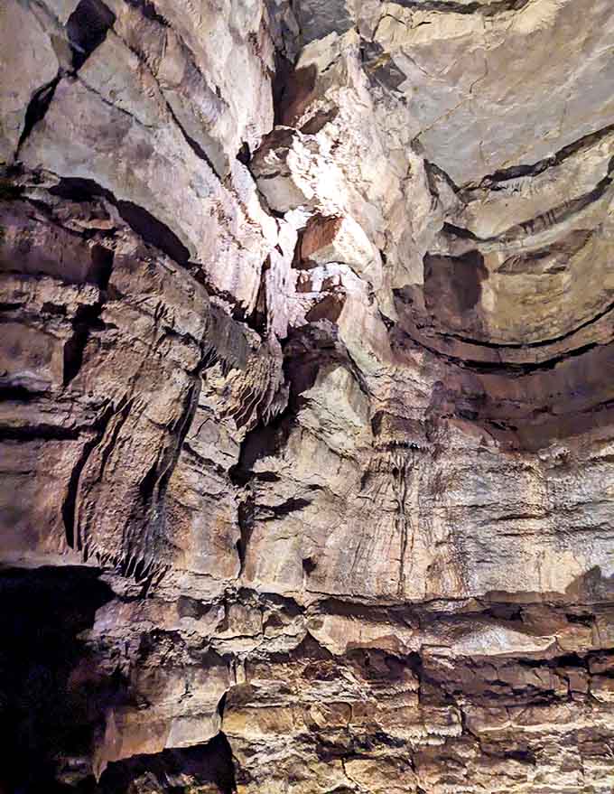Limestone formations create a cathedral-like atmosphere in Mystery Cave, where nature's patient artistry has sculpted stone into flowing masterpieces.