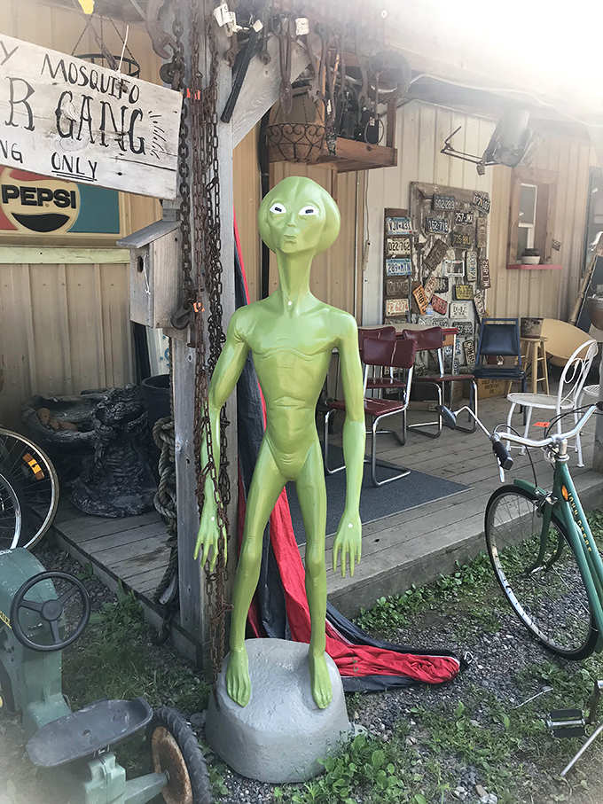 This green visitor didn't travel light-years to be ignored, standing sentinel among earthly treasures with an expression of cosmic bemusement.
