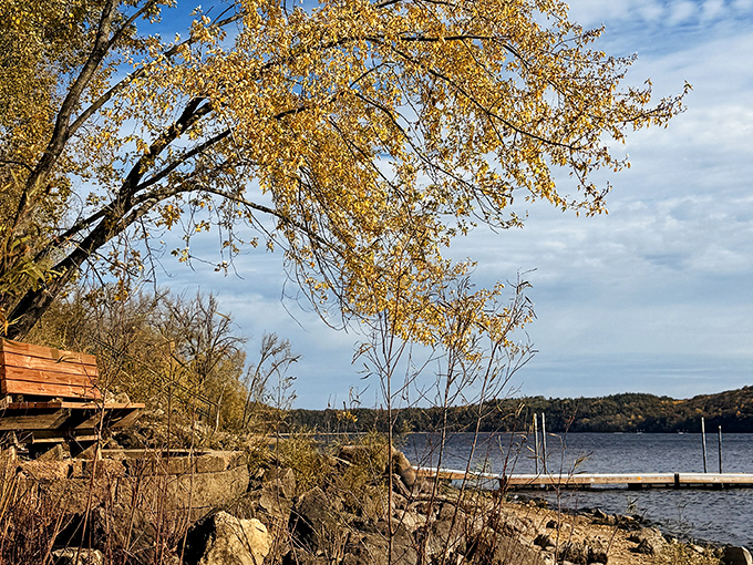 A weathered bench offers front-row seats to nature's ever-changing show, with the St. Croix River as the main attraction.