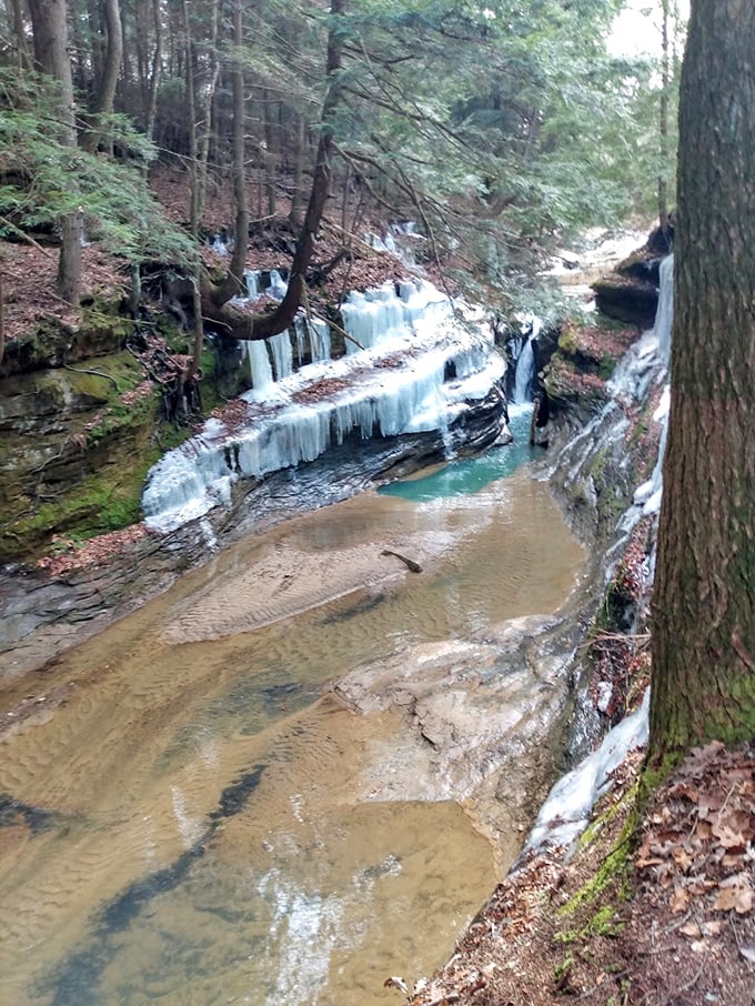 Nature's frozen waterfall creates an ice sculpture gallery that transforms with each passing day, a temporary exhibit in the forest museum.