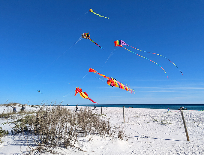 Kites dancing against the blue sky create a ceiling of color, proof that sometimes the simplest pleasures are the most magical.