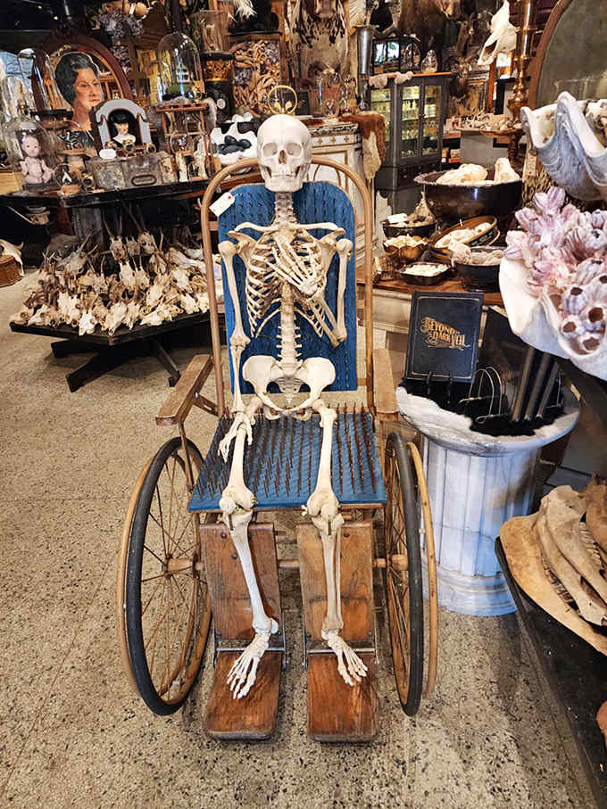 A skeleton reclines in his antique wheelchair, eternally waiting for someone to push him to his next appointment with the afterlife.