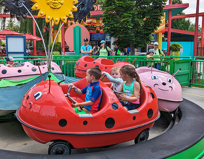 Kids: Ladybug-themed whimsy spins young adventurers in circles, creating the perfect combination of delight and dizziness for tomorrow's thrill-seekers.