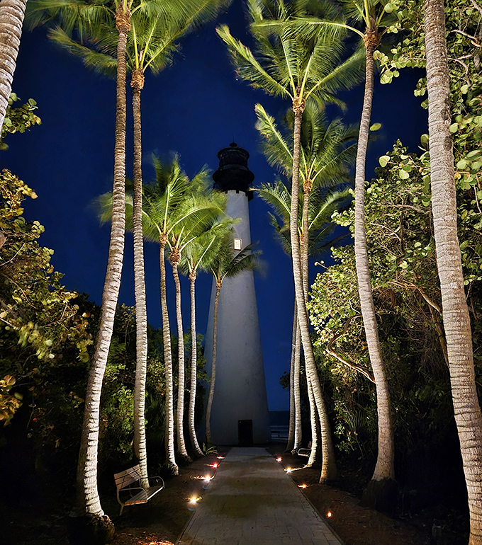 By night, the lighthouse transforms into a magical silhouette, palm trees illuminated like nature's runway lights guiding you forward.