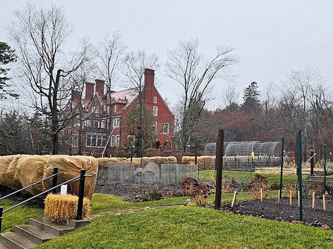 
Winter's embrace: Even under gray skies, the mansion stands proud against Minnesota's chill, with garden beds tucked in under protective coverings until spring returns.