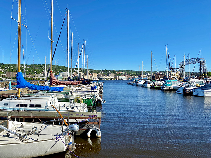 The marina's forest of masts sways gently with harbor waves, sailboats patiently waiting for their next adventure.