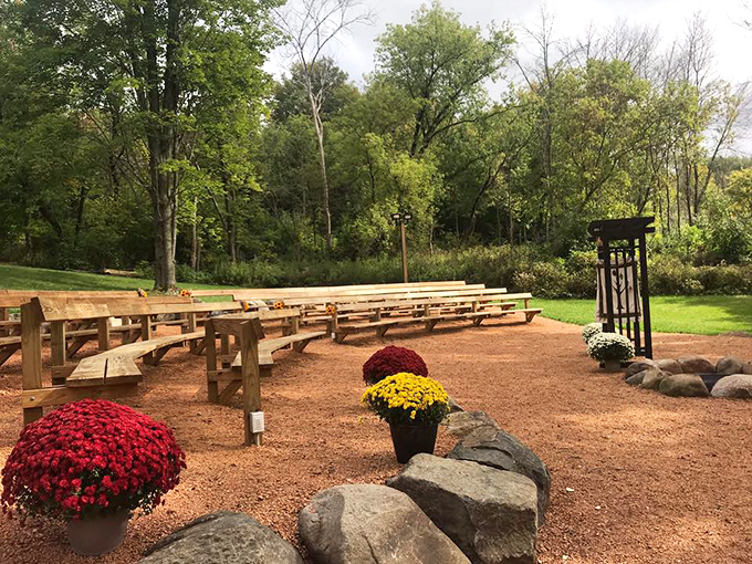 Simple wooden benches await storytellers and stargazers in this rustic outdoor amphitheater nestled among autumn mums.