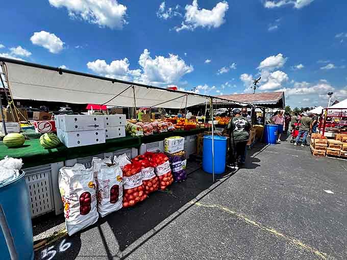 Fresh produce bursts with color under canvas tents&mdash;tomatoes so red they practically glow, while farmers share growing tips with curious shoppers.